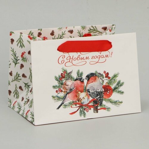 Дарите Счастье Пакет подарочный с широким дном «Снегири», 20 × 14 × 13.2 см
