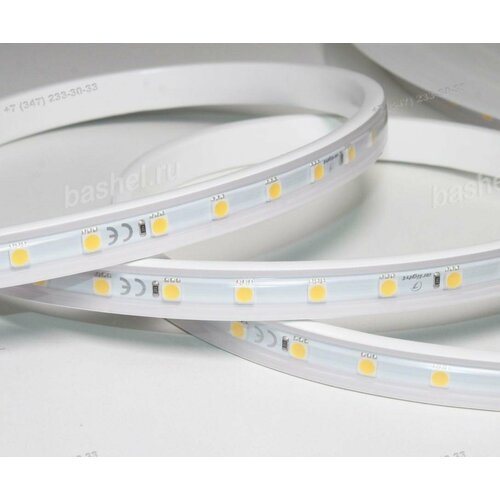 245-LR220-5060-54SMD-IP65-ARL-CRI90-10000PV-220V Day 4000k 8W-600Lm/m, Светодиодная лента нейтрально-белая, Arlight