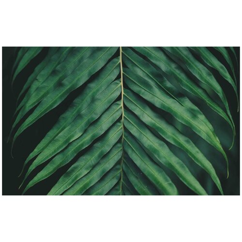 Картина на холсте 60x110 LinxOne "Лист, растение, зеленый" интерьерная для дома / на стену / на кухню / с подрамником