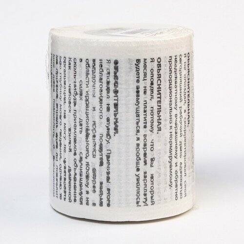 Русма Сувенирная туалетная бумага "Объяснительная", 9,5х10х9,5 см