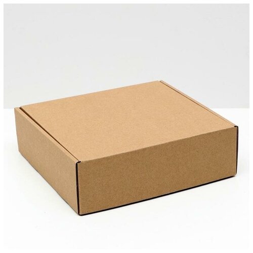 Коробка самосборная, крафт, 22,5 х 21 х 7 см (5 шт)