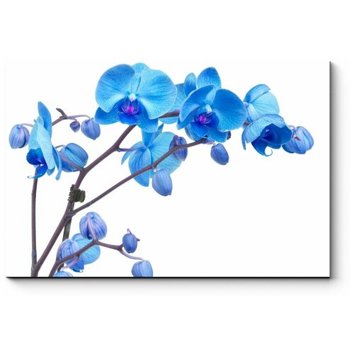 Модульная картина Орхидея небесного цвета70x47