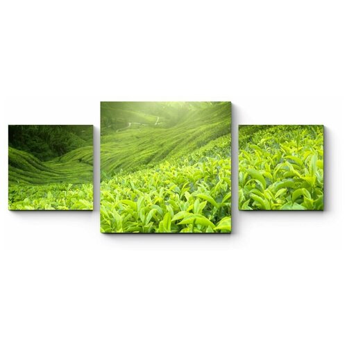 Модульная картина Бескрайняя зелень полей 210x90