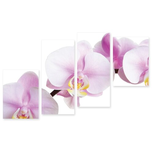 Модульная картина на холсте "Розовая орхидея" 120x72 см