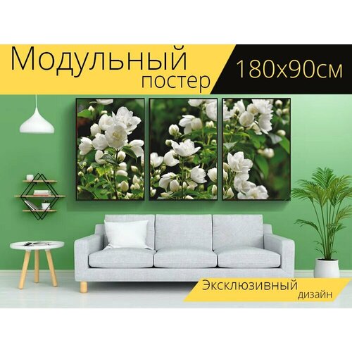 Модульный постер "Аромат жасмина, жасмин, декоративный кустарник" 180 x 90 см. для интерьера