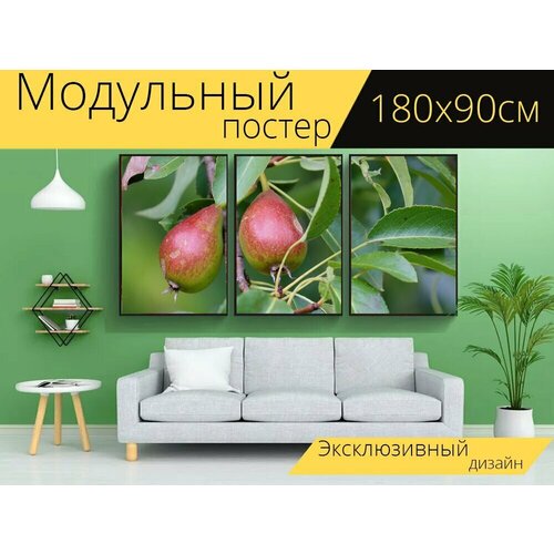 Модульный постер "Груши, груша, фрукты" 180 x 90 см. для интерьера