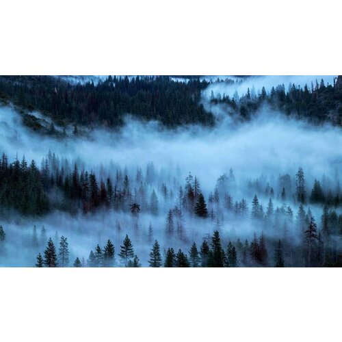 Картина на холсте 60x110 Альянс Лес "Деревья пелена туман" на подрамнике / интерьер/ декор