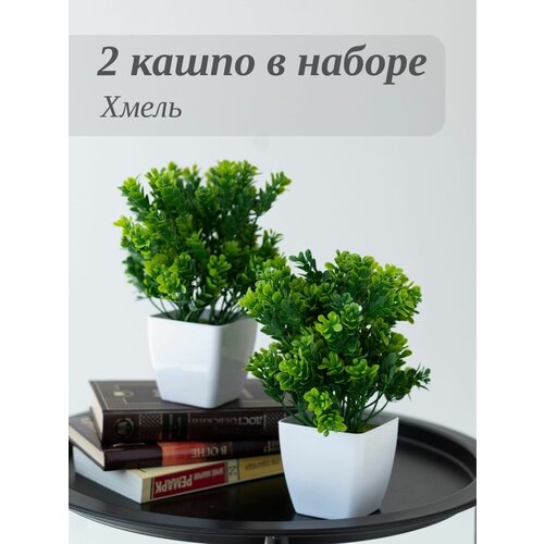 Искусственные растения Самшит-квад-2-шт