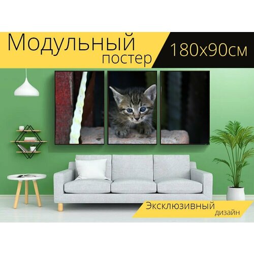 Модульный постер "Кот, маленький, кошачий" 180 x 90 см. для интерьера