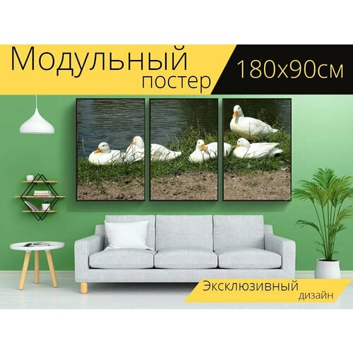 Модульный постер "Белые утки, утки, утята" 180 x 90 см. для интерьера