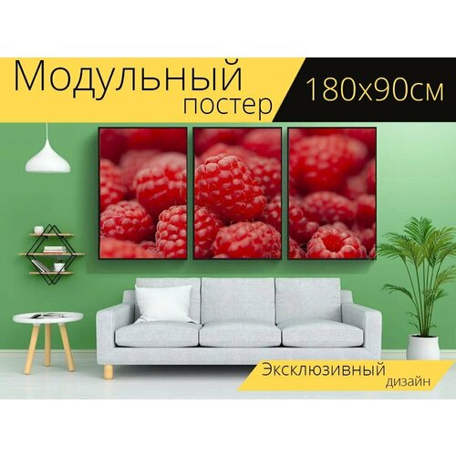 Модульный постер "Малина, фрукты, ягоды" 180 x 90 см. для интерьера