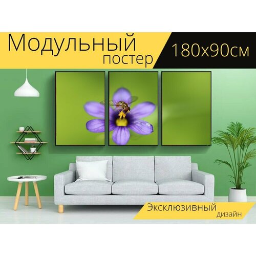 Модульный постер "Крошечный, лавандовый и желтый, цветок" 180 x 90 см. для интерьера