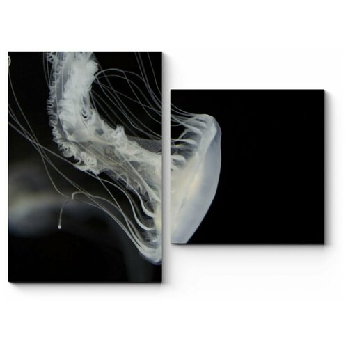 Модульная картина Белая медуза120x90