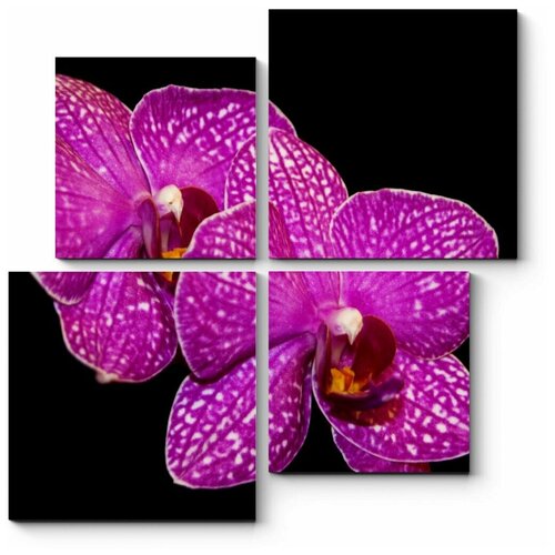 Модульная картина Тропическая орхидея 100x100