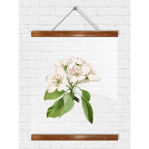 Постер / Плакат / Картина Прозрачный постер - Ветка цветущей яблони с зелеными листьями 40x50