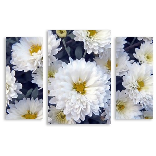 Модульная картина на холсте "Белые хризантемы" 90x61 см