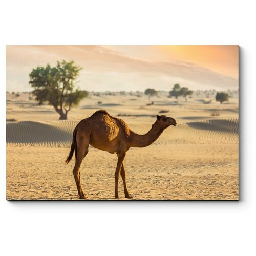 Модульная картина Верблюд, очарованный песками 120x80