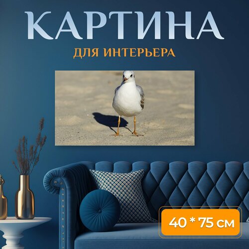 Картина на холсте "Чайка, море, птица" на подрамнике 75х40 см. для интерьера