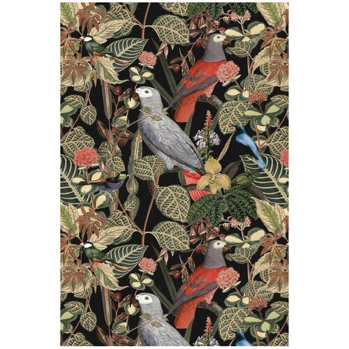 Постер / Плакат / Картина Джунгли - Птицы тропического леса 50х70 см в подарочном тубусе