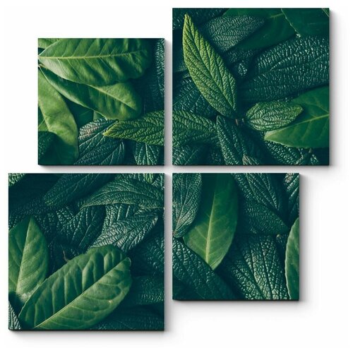 Модульная картина Зеленые сочные листья70x70