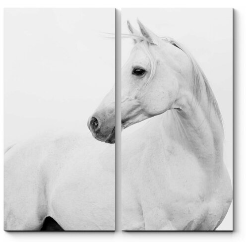 Модульная картина Белая лошадка60x60