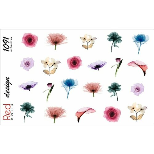 Слайдер-дизайн Red Nails №1091 - Цветы
