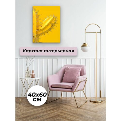 Картины для интерьера 40х60 Кактус Желтый Яркая