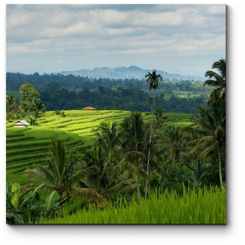 Модульная картина Бали, рисовые поля 20x20