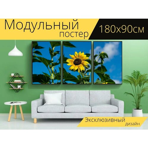 Модульный постер "Подсолнух, цветок, желтый" 180 x 90 см. для интерьера