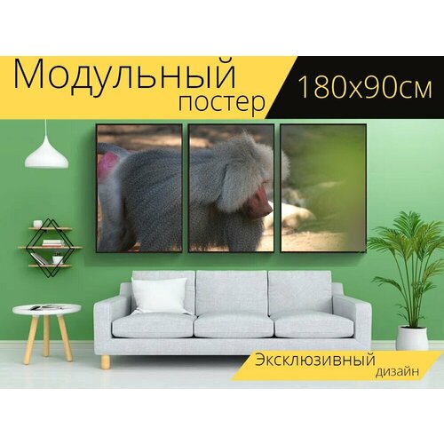 Модульный постер "Бабуин, обезьяна, обезьяны" 180 x 90 см. для интерьера