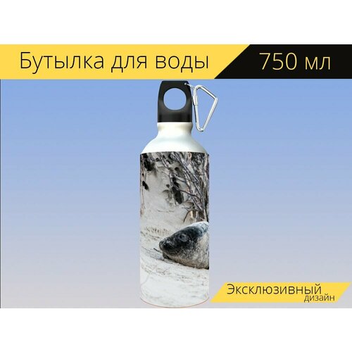 Бутылка фляга для воды "Тюлень, серый тюлень, гельголанд" 750 мл. с карабином и принтом