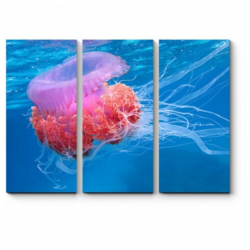 Модульная картина Розовая медуза под водой 90x65