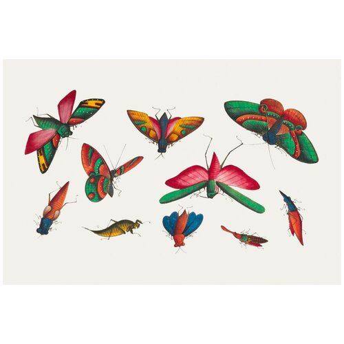 Постер / Плакат / Картина Китайские бабочки 40х50 см в раме