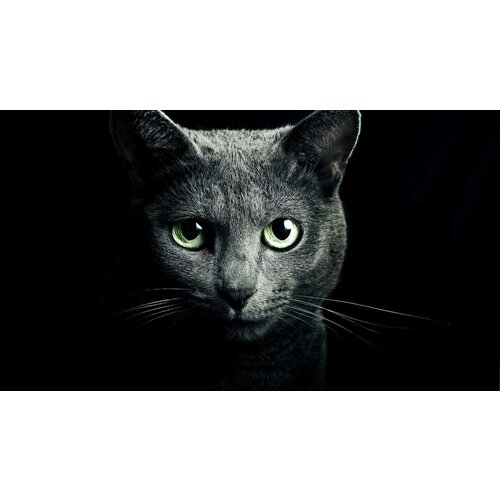 Картина на холсте 110x60 LinxOne "Порода серый Кошка русская" интерьерная для дома / на стену / на кухню / с подрамником