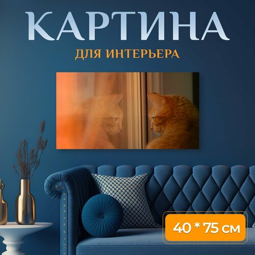 Картина на холсте "Кошка, окно, отражение" на подрамнике 75х40 см. для интерьера