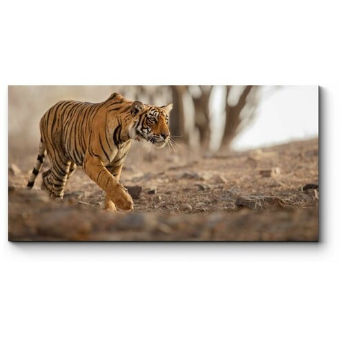 Модульная картина Тигр на охоте80x40