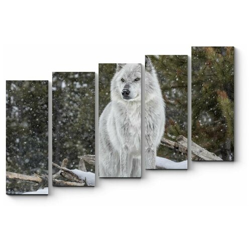 Модульная картина Серый волк 90x63
