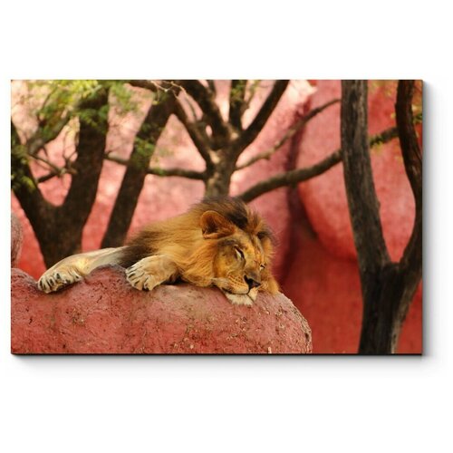 Модульная картина Африканский лев отдыхает40x27