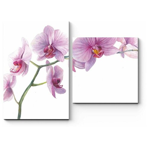 Модульная картина Ветка чудесной орхидеи 80x60