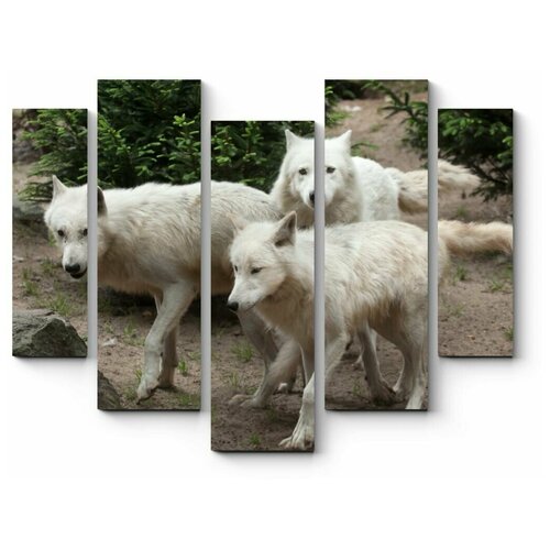 Модульная картина Полярные волки 141x114