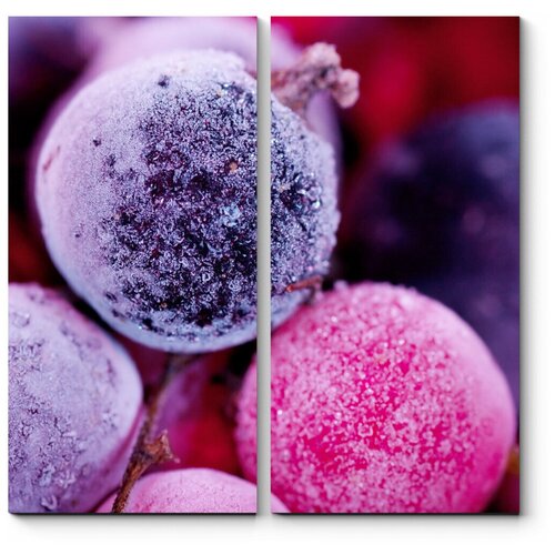 Модульная картина Зимние ягоды 90x90