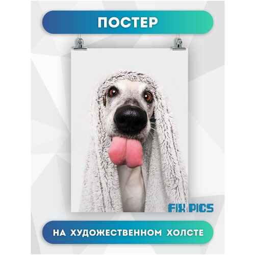 Постер на стену Собака, кожаный нос, пес (2) 30х40 см