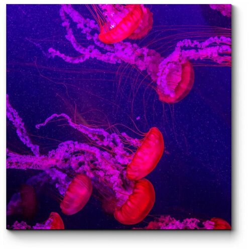 Модульная картина Стая медуз 40x40