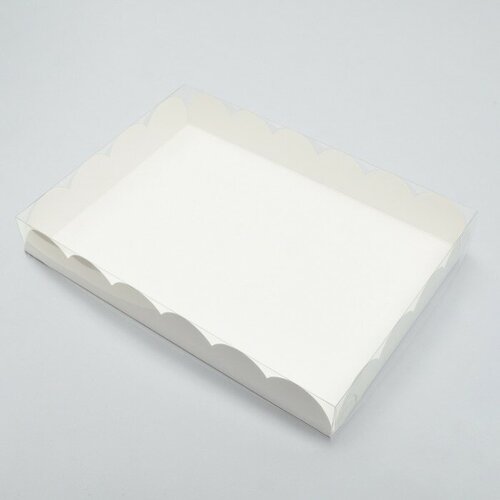 Коробочка для печенья белая, 25 х 18 х 4 см(5 шт.)