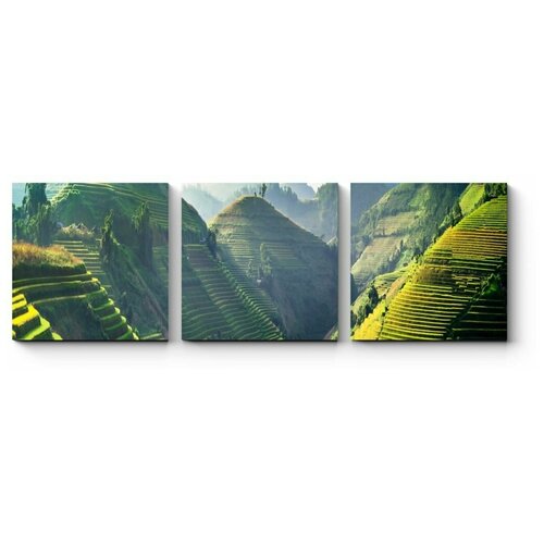 Модульная картина Вьетнамские рисовые поля в горах 170x57