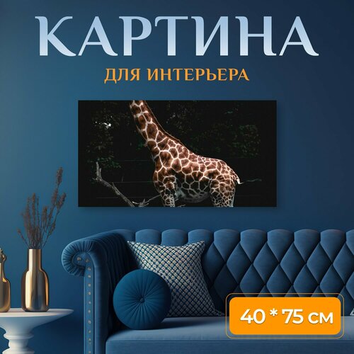 Картина на холсте "Жирафа, животное, сафари" на подрамнике 75х40 см. для интерьера