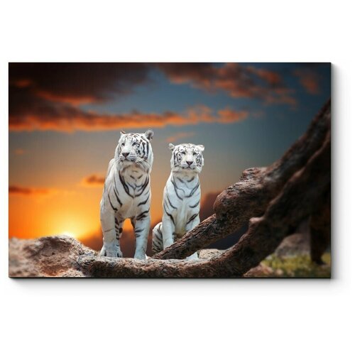 Модульная картина Два белых тигра на закате 30x20