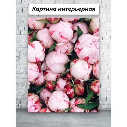Картины для интерьера 30х40 Пионы Цветы