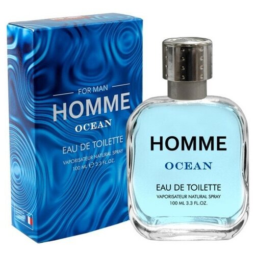 Туалетная вода мужская Homme Ocean, 100 мл