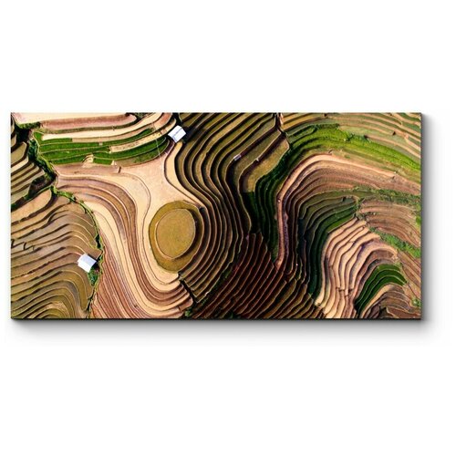 Модульная картина Рисовые поля с высоты птичьего полета 170x85